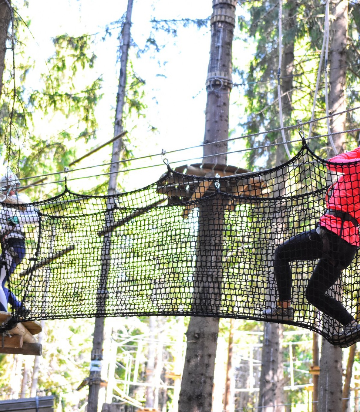 Experience the fun in the Arka Park Paltinis adventure park