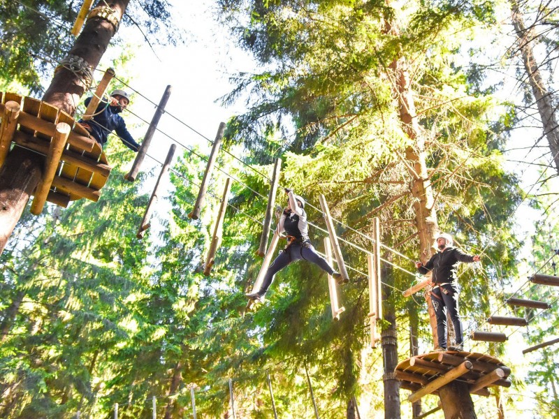 Experience the fun in the Arka Park Paltinis adventure park