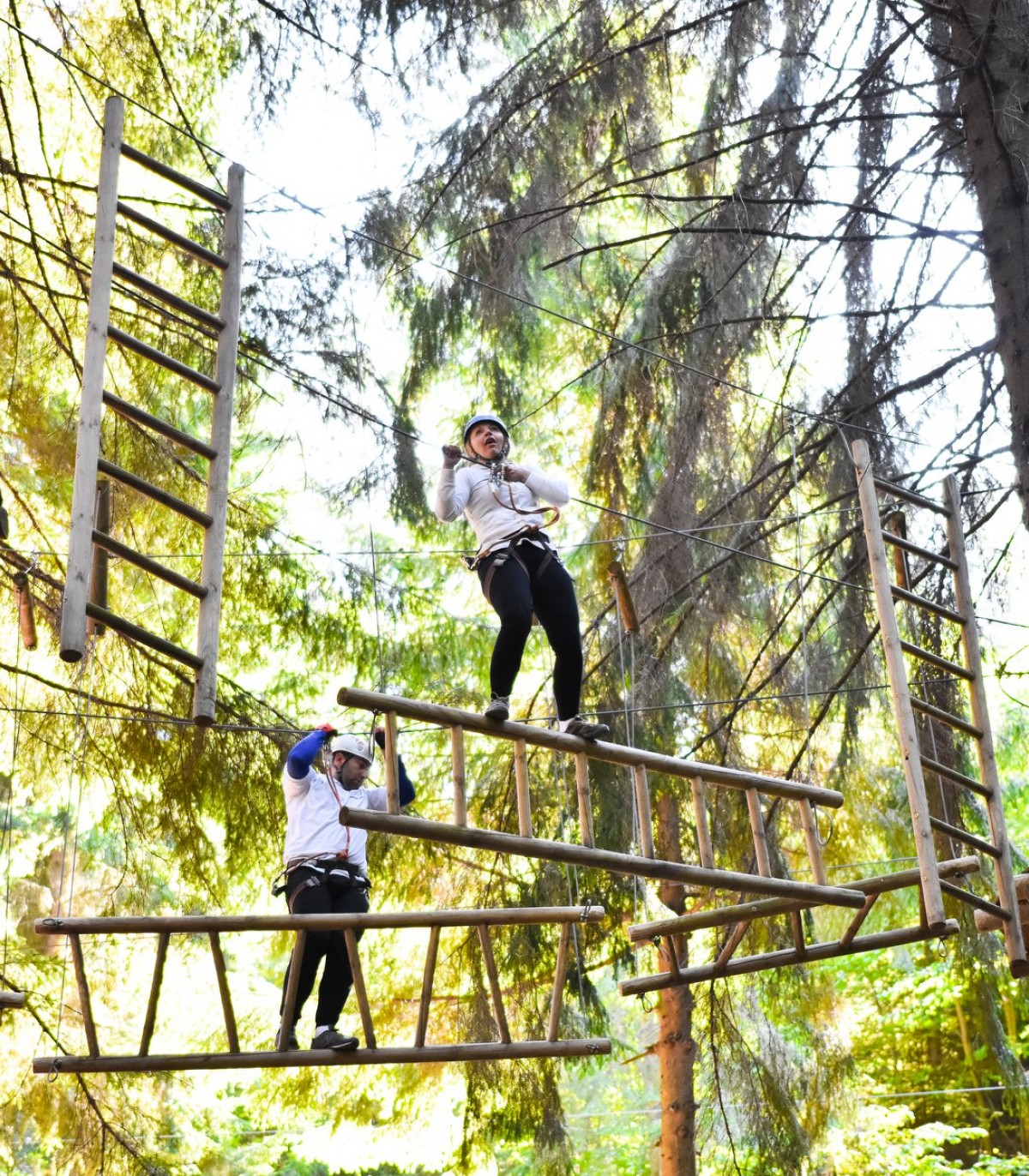Experience the fun in the Arka Park Paltinis adventure park