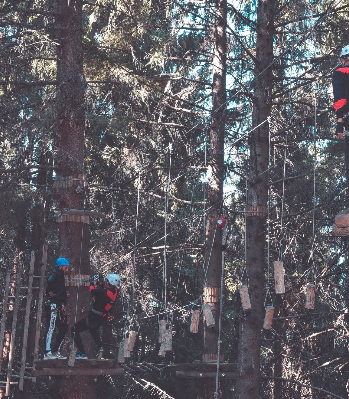 Experience the fun in the Arka Park Paltinis adventure park