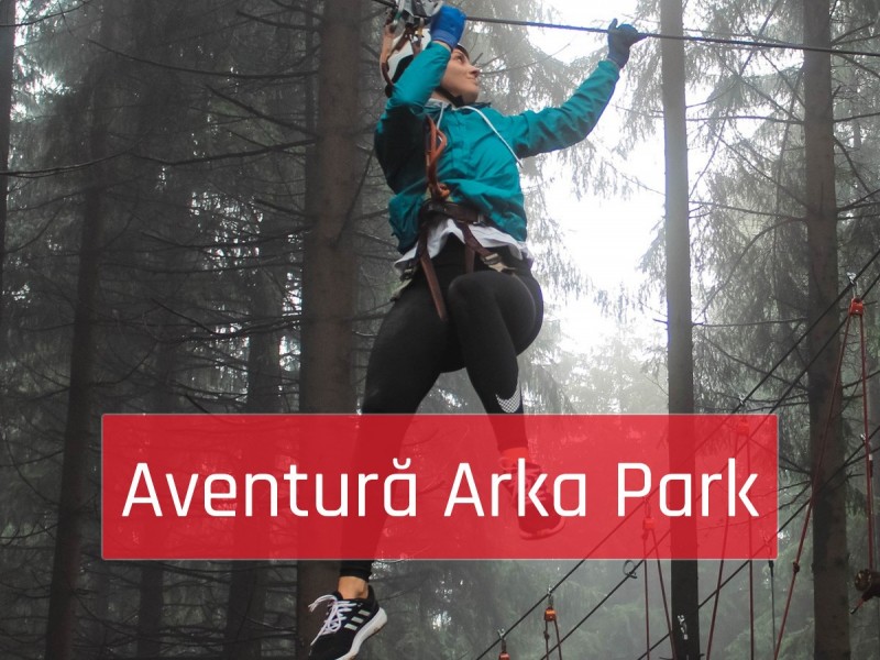 Experience the fun in the Arka Park Paltinis adventure park