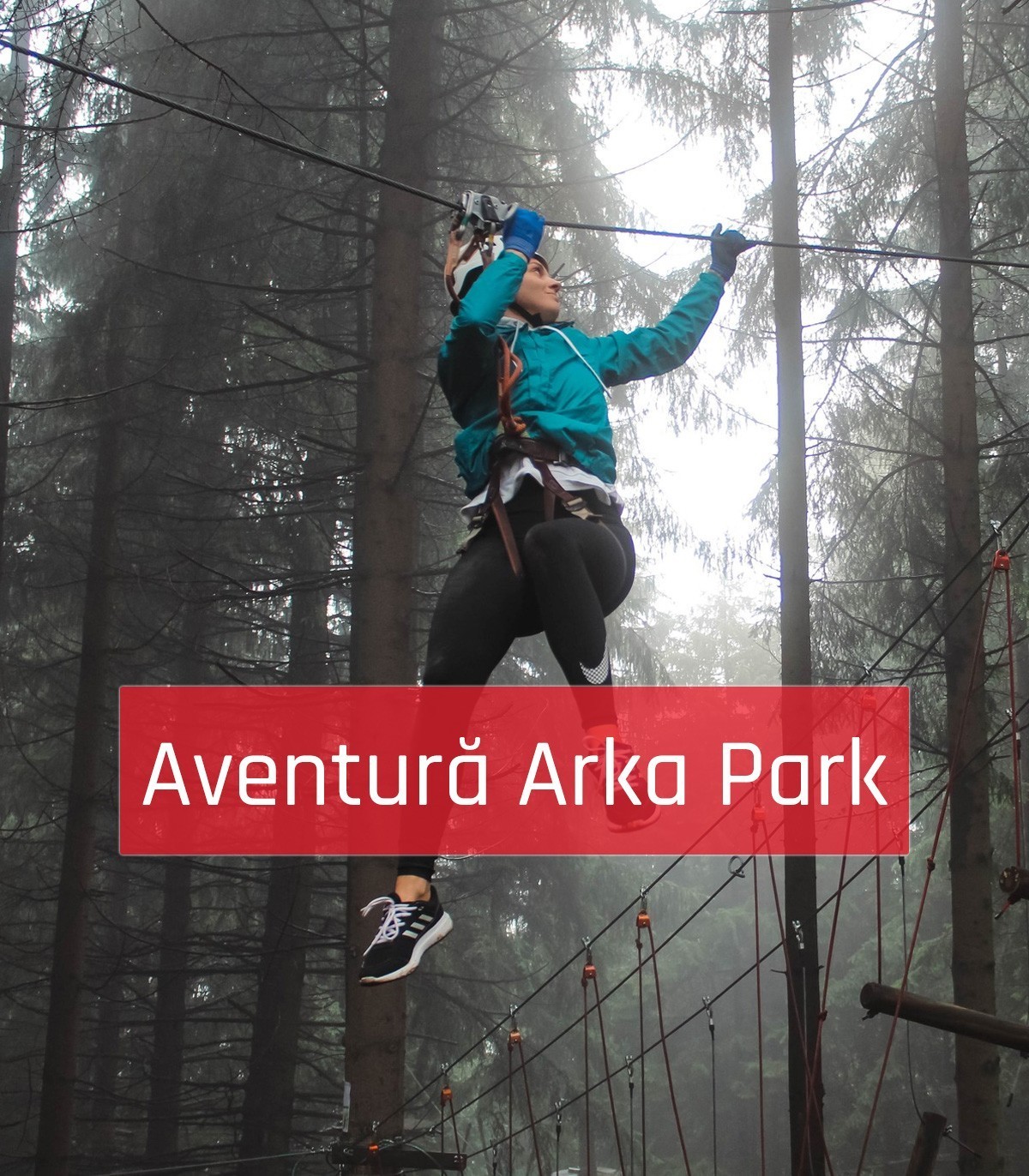 Experience the fun in the Arka Park Paltinis adventure park