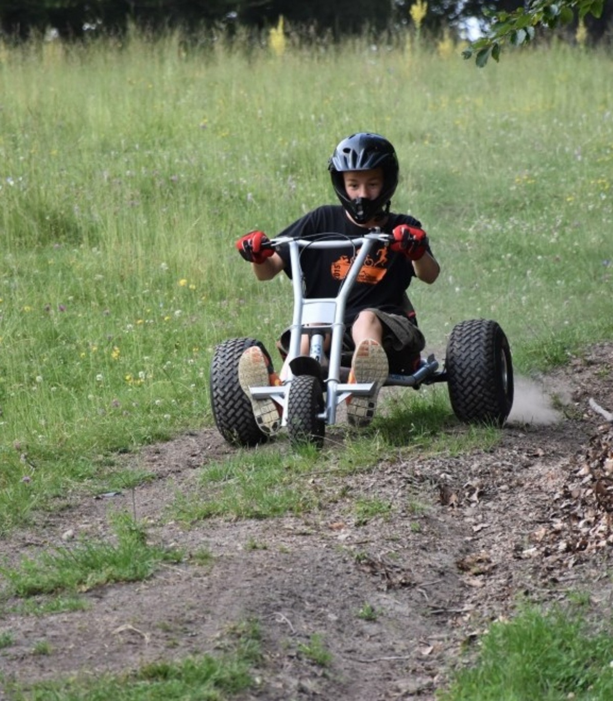 Adventure for groups with Mountain Carts at Lake St. Anna