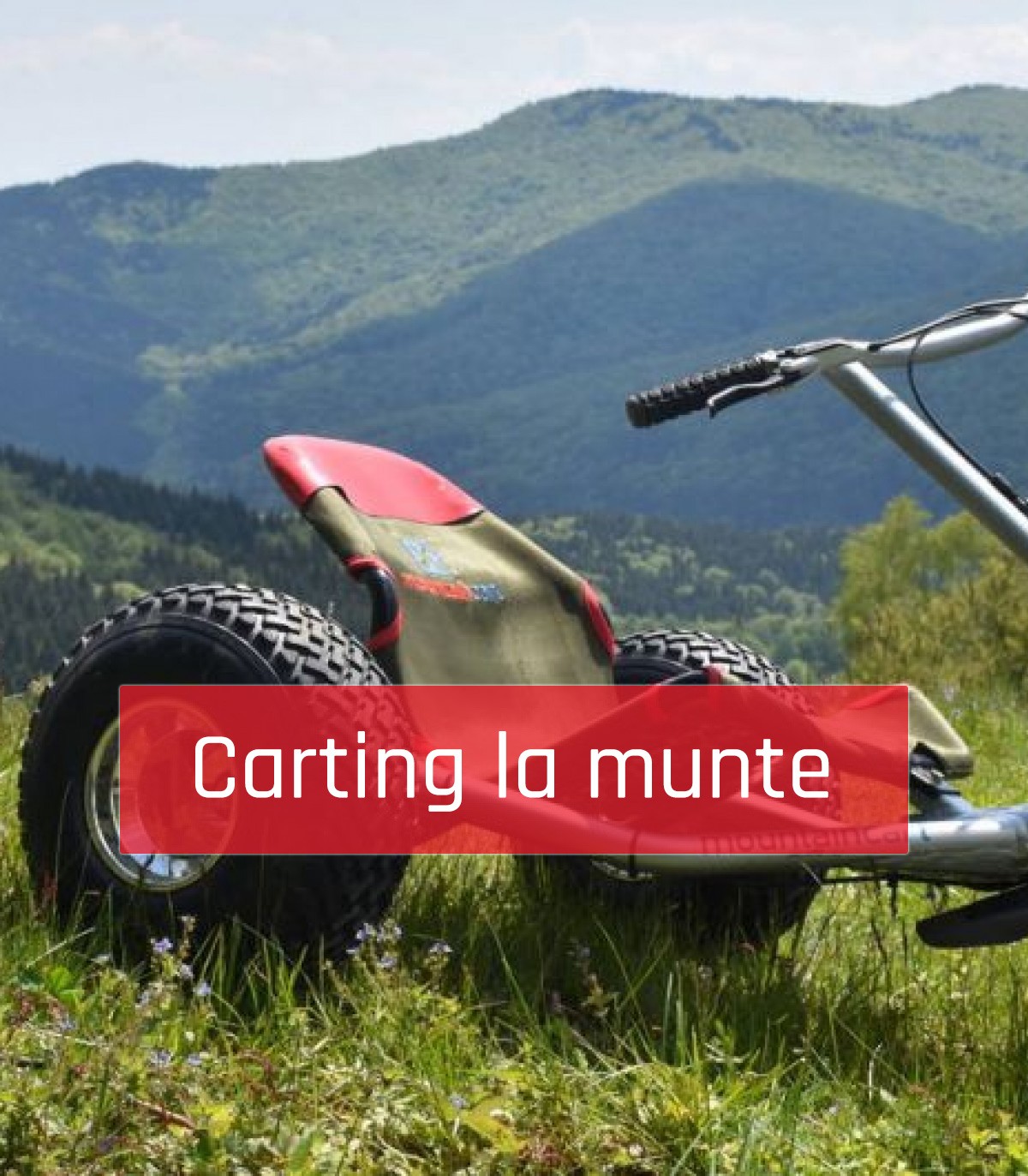 Adventure for groups with Mountain Carts at Lake St. Anna