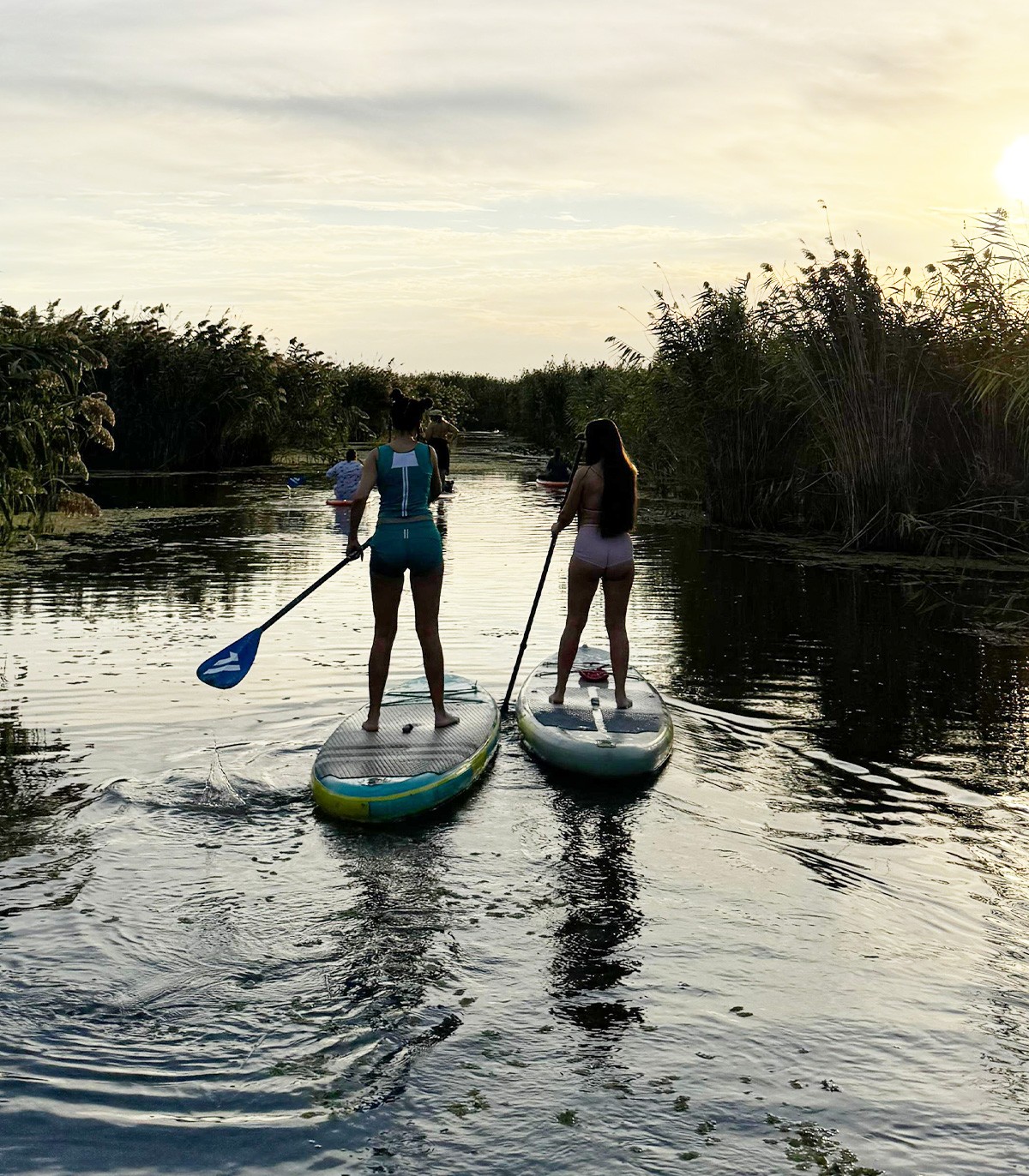 Stand up paddle - vasleste pe placa de surf in delta Neajlovului