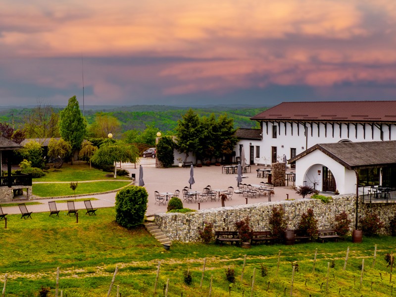 Escapada in podgorie: Cazare si degustare de vin pentru 2, in Valcea
