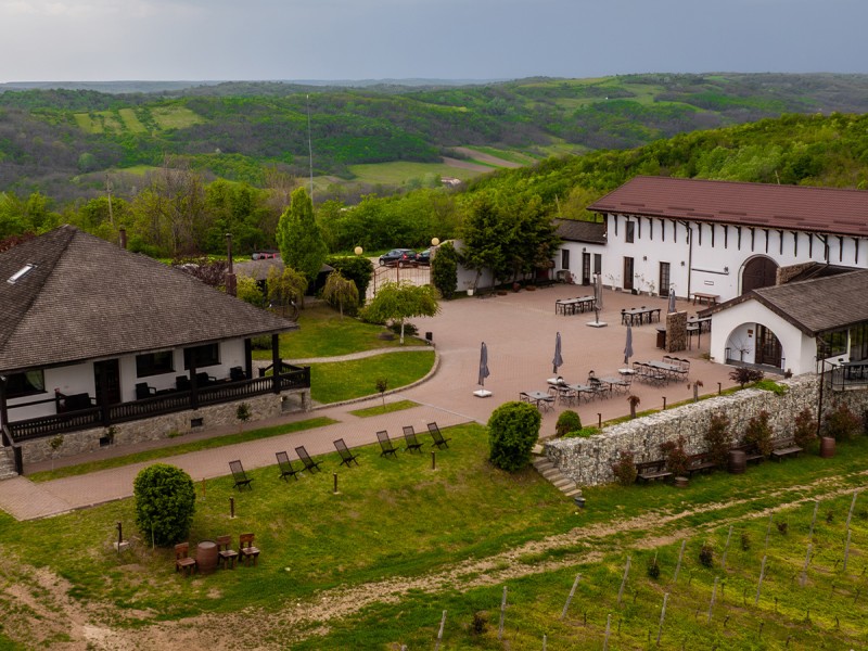 Escapada in podgorie: Cazare si degustare de vin pentru 2, in Valcea