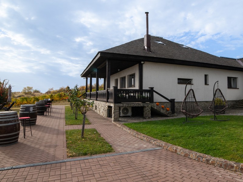 Escapada in podgorie: Cazare si degustare de vin pentru 2, in Valcea