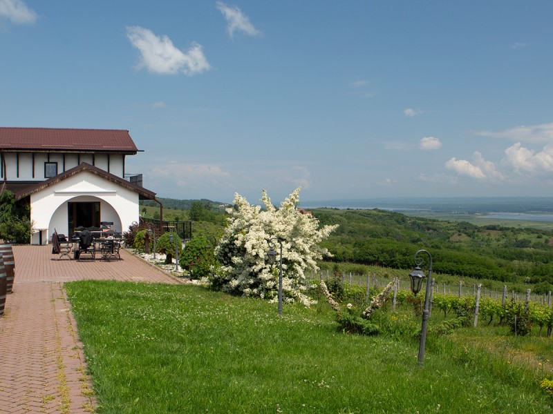Escapada in podgorie: Cazare si degustare de vin pentru 2, in Valcea