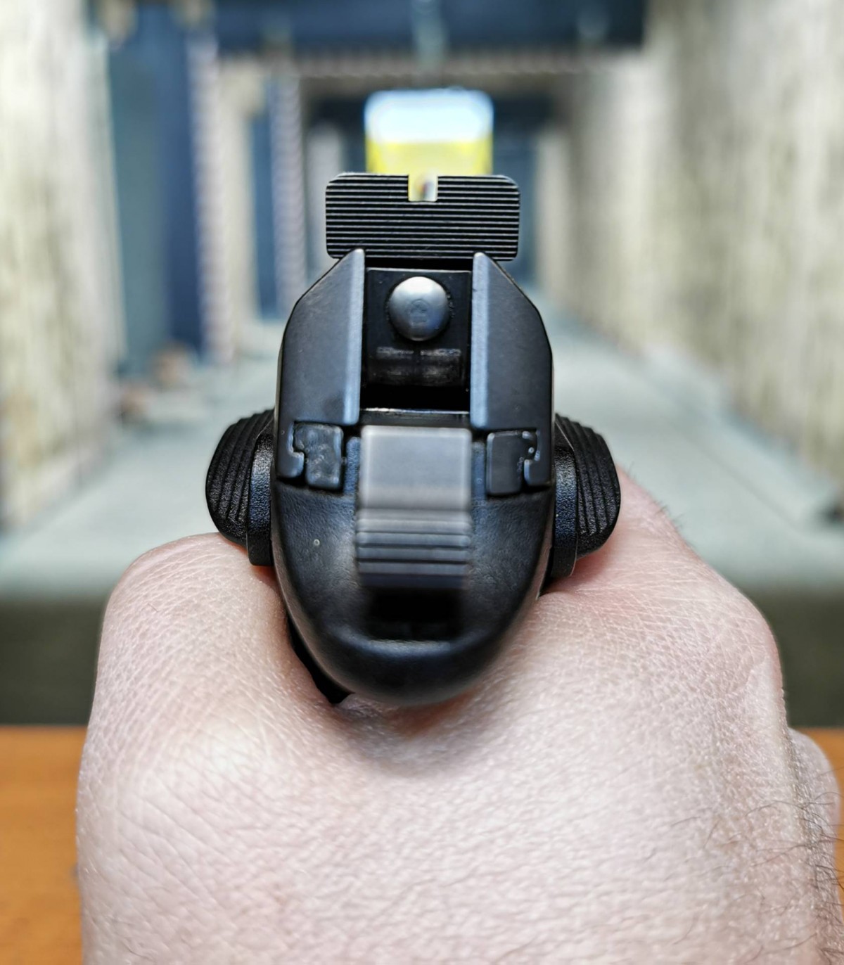 Test your courage and agility at a private shooting range in Brasov